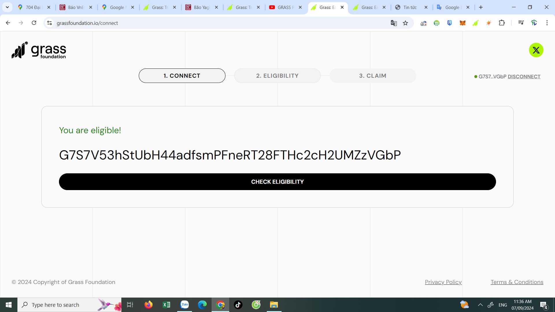 Check điểm thưởng, Hướng dẫn kiểm tra, trả thưởng Grass, Getgrass.io, trả thưởng cỏ, grass token ...